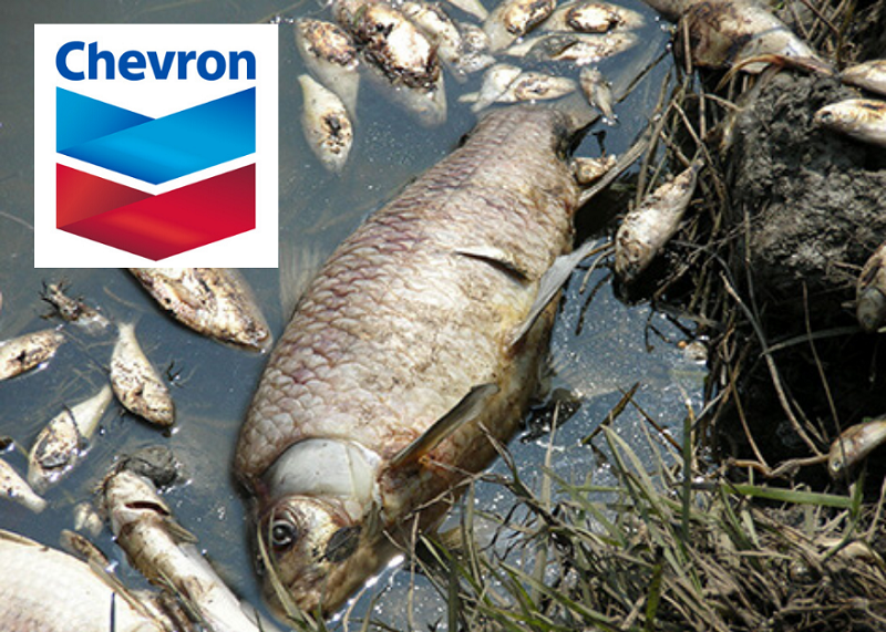 CORPORATE VENOM: MANY HOSPITALIZED AFTER ALLEGED CHEMICAL LEAKS FROM ...